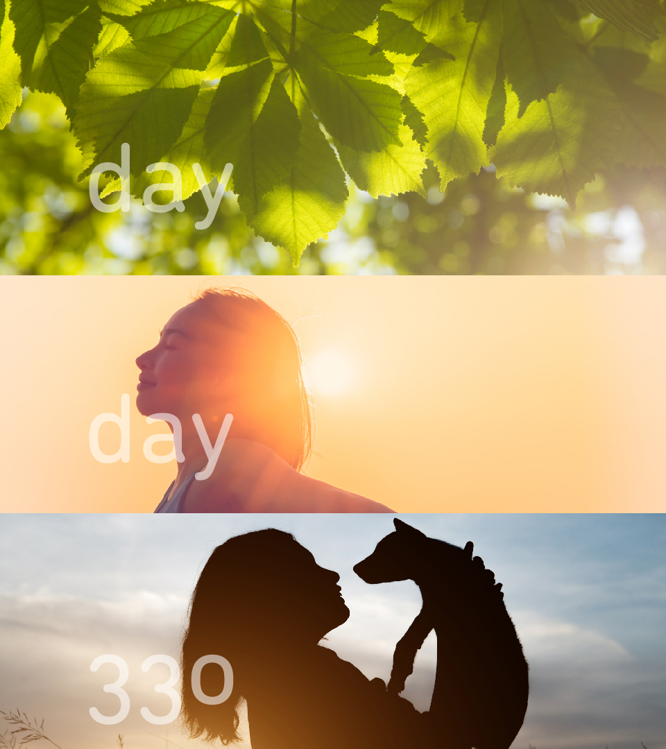 dayday330 | 天天照顧身心靈健康