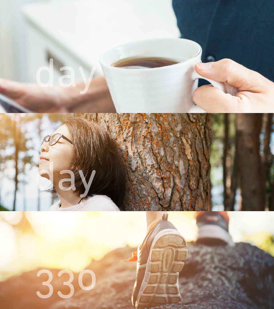 dayday330 | 天天照顧身心靈健康