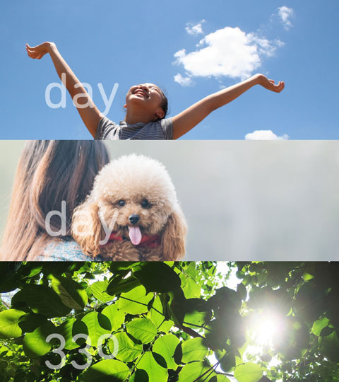 The dayday330 campaign | dayday330